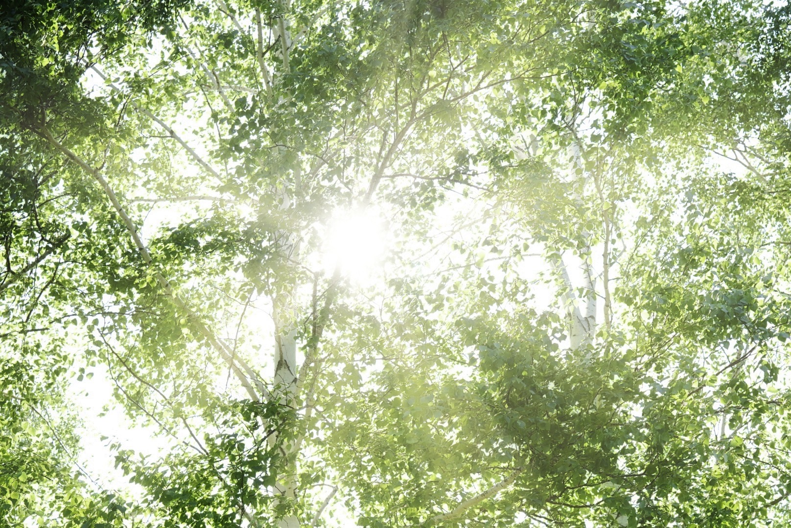 日々のルーティン - nana simplelife